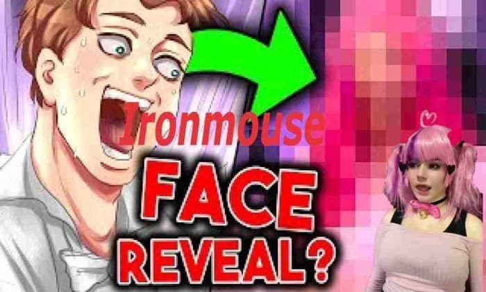 Ironmouse Face Reveal Is It Real? Ironmouse Biography | Fox Business ...